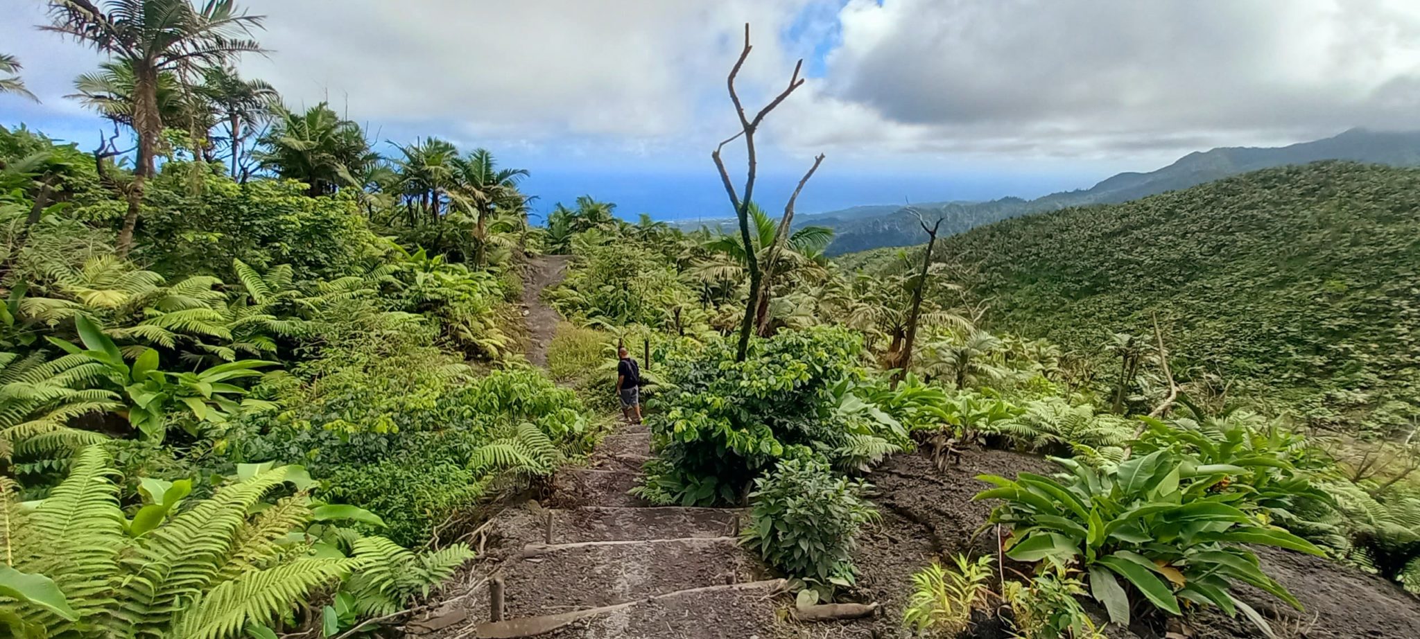 Our Tours - Welcome to Sailor’s Wilderness Tours